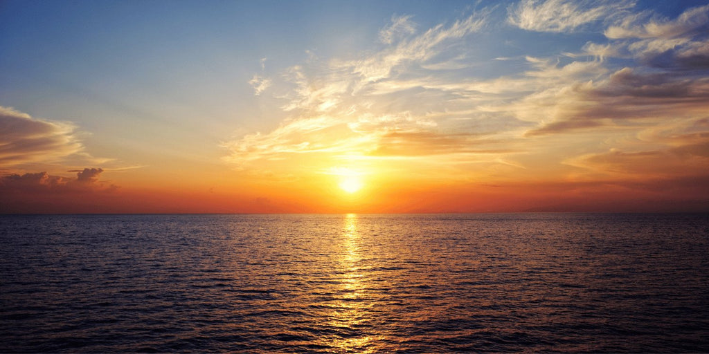 The benefits of morning sun exposure – Baxter Blue