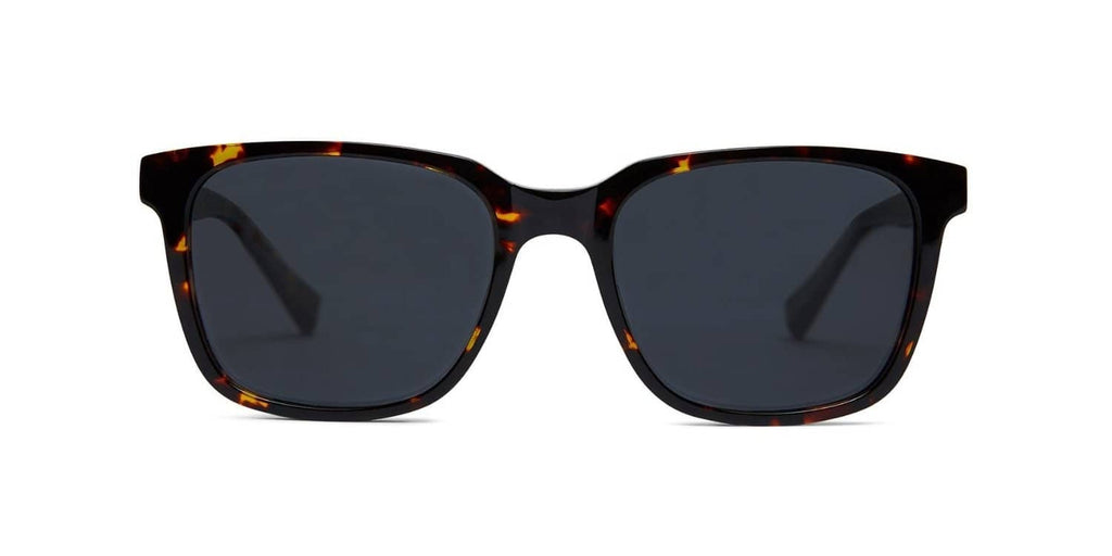 Carter Maple Tortoise - Sunglasses | Baxter Blue
